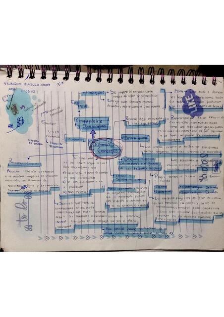 Mapa sobre los Sistemas complejos | Sharon Velazquez.A | uDocz