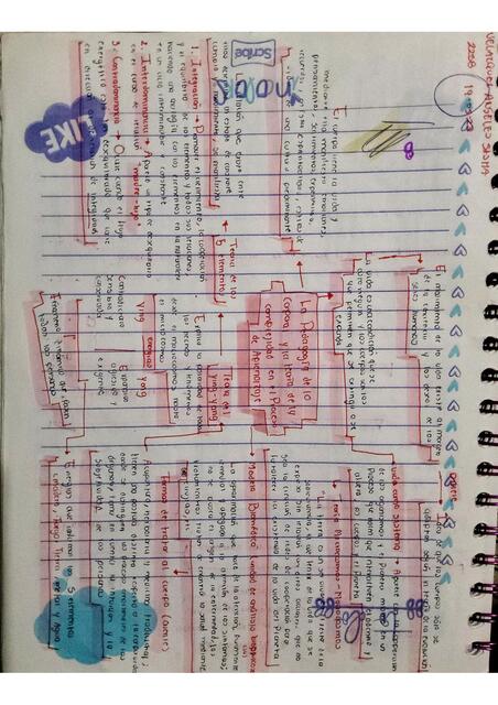 Mapa- La pedagogía de lo corporal y la teoría de la complejidad ...