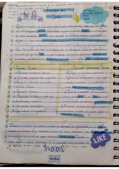 Mapa sobre la Fisiología del sueño | Sharon Velazquez.A | uDocz