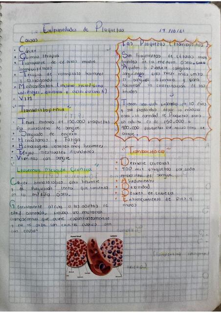 Apunte-Enfermedades de plaquetas apunte | Sharon Velazquez.A | uDocz