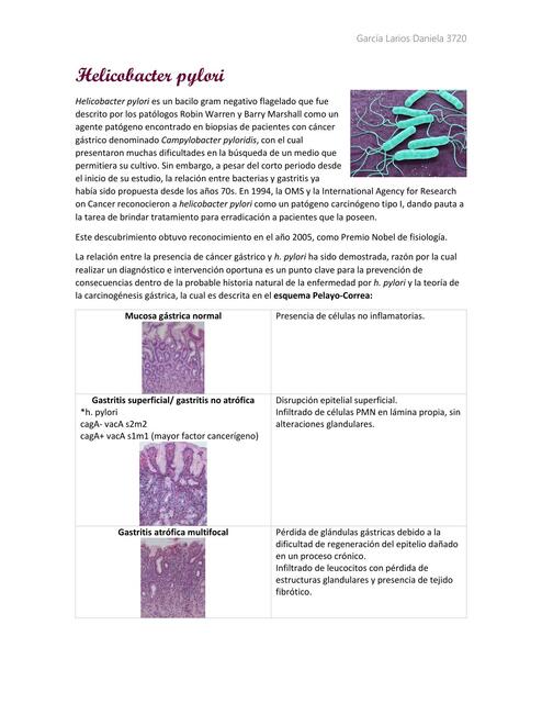 Helicobacter pylori | IOVANNY CRUZ OJEDA | uDocz