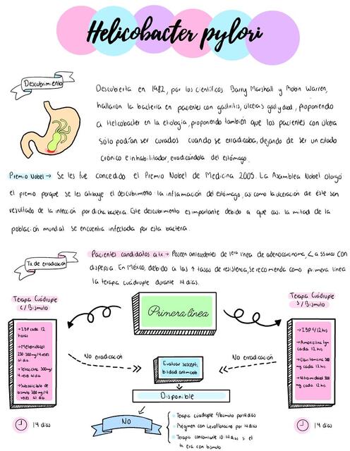 Helicobacter pylori | IOVANNY CRUZ OJEDA | uDocz
