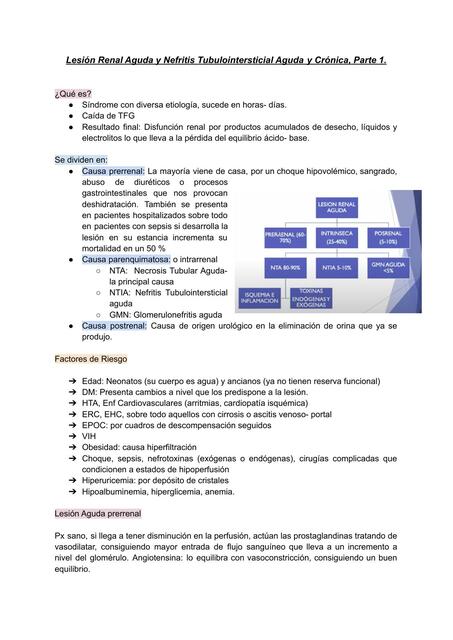 Lesión Renal Aguda y Nefritis Tubulointersticial aguda y crónica | IOVANNY CRUZ OJEDA | uDocz