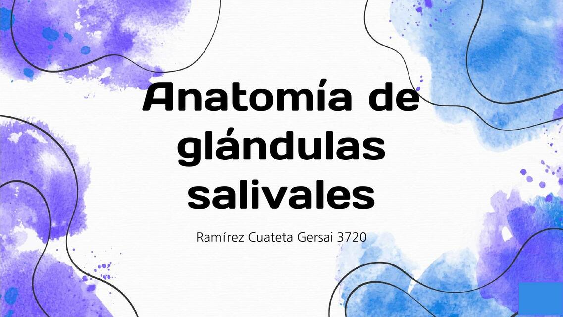 Anatomía de las glándulas salivales | IOVANNY CRUZ OJEDA | uDocz