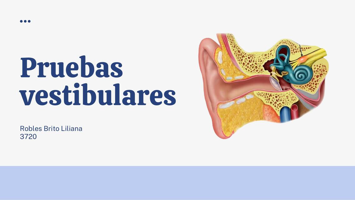 Pruebas vestibulares | IOVANNY CRUZ OJEDA | uDocz
