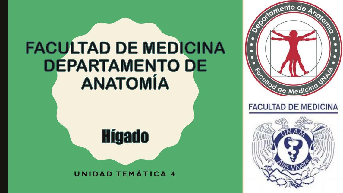 Anatomía hepática | IOVANNY CRUZ OJEDA | uDocz