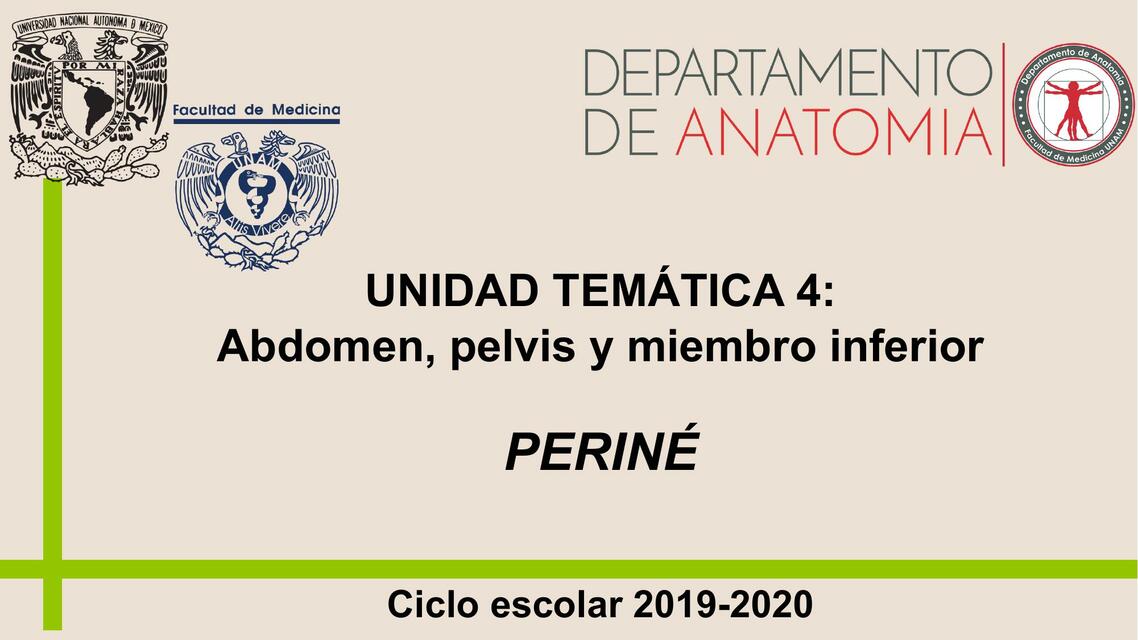 Anatomia del perine clase | IOVANNY CRUZ OJEDA | uDocz