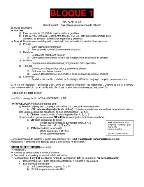 Resumen bloque 1 embriologia | IOVANNY CRUZ OJEDA | uDocz