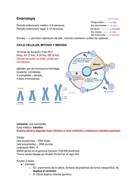 Resumen primer bloque embriologia | IOVANNY CRUZ OJEDA | uDocz