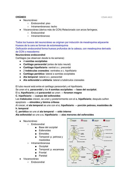 Resumen 3er bloque embriologia | IOVANNY CRUZ OJEDA | uDocz