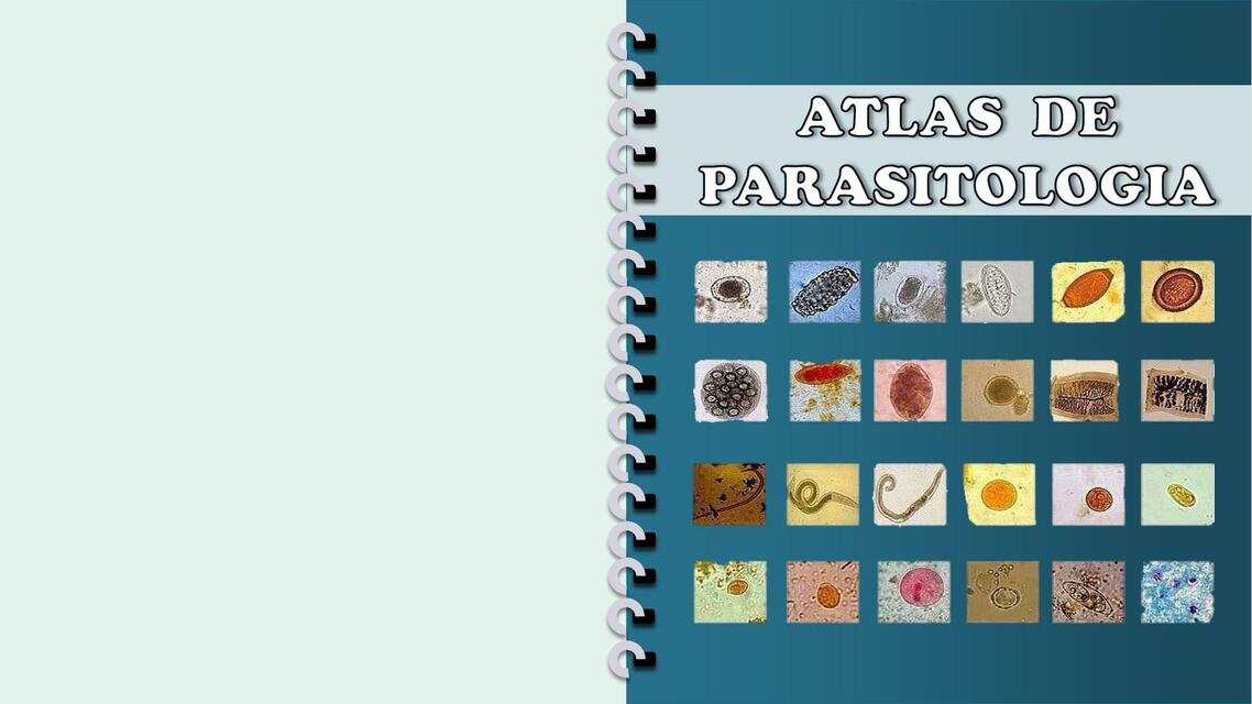 Atlas de parasitologia | Katherine Sandoval | uDocz