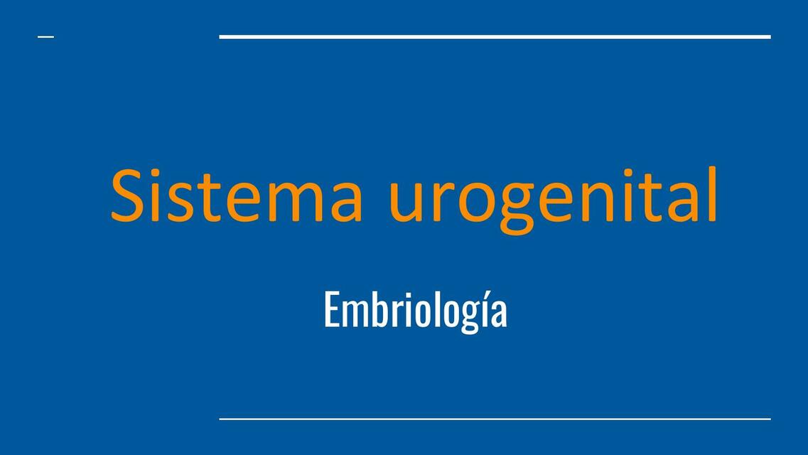 Sistema urogenital - Embriologia | GuiasMed | uDocz