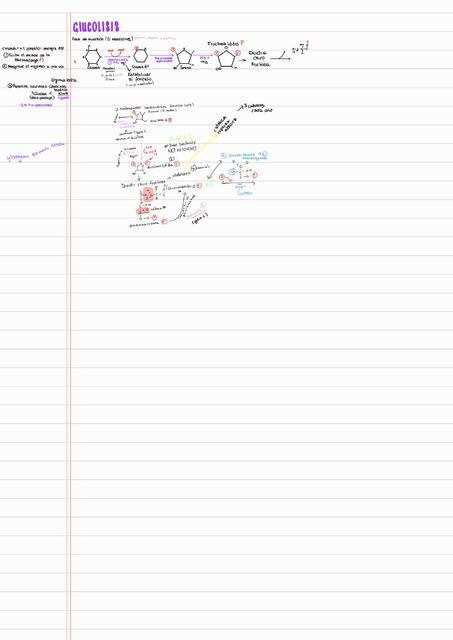 Bioquimica 2 | Valeria Avalos | uDocz