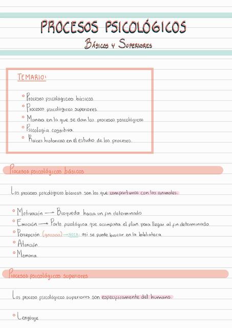 Procesos Psicológicos básicos y superiores | Bella Miso | uDocz