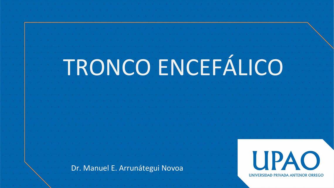 Tronco encefálico | Sebas Guev | uDocz