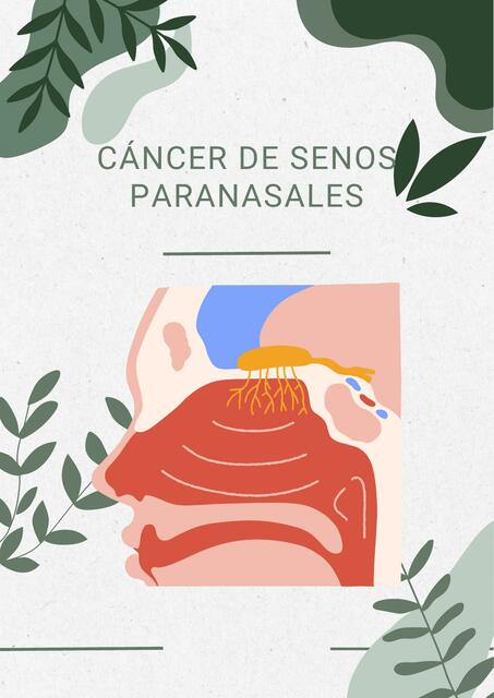 CÁNCER DE SENOS PARANASALES | Luisana Aneth CR | uDocz
