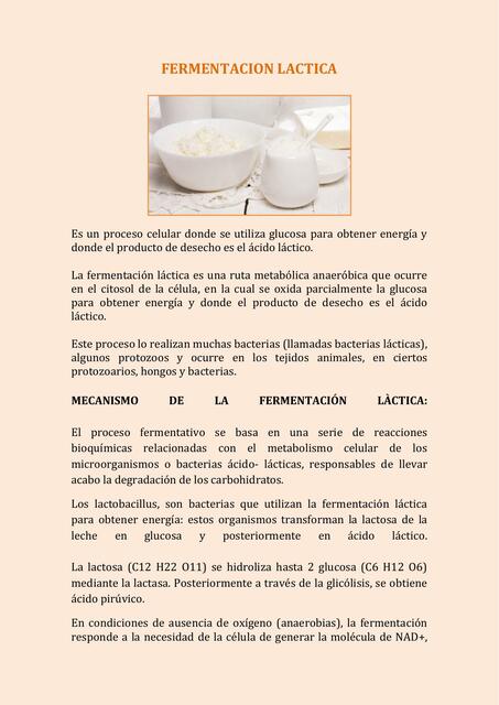 Fermentación láctica | Ana B. | uDocz