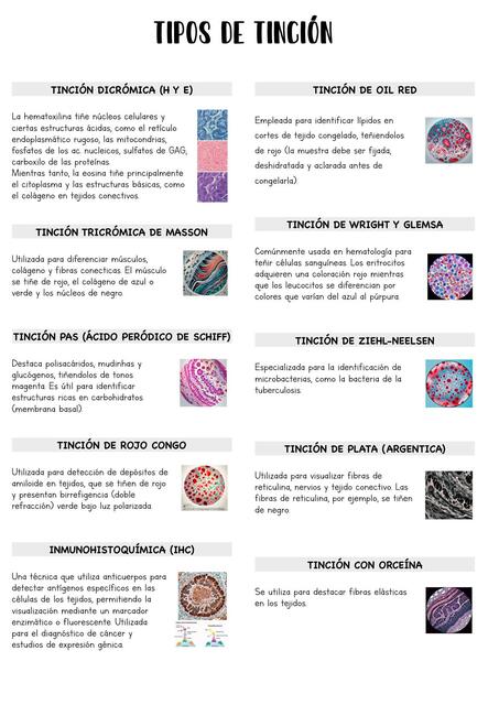 Tipos de tinciones | Vanessa | uDocz