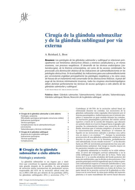 Flashcards de Cirugía de la glándula submaxilar y de la glándula ...