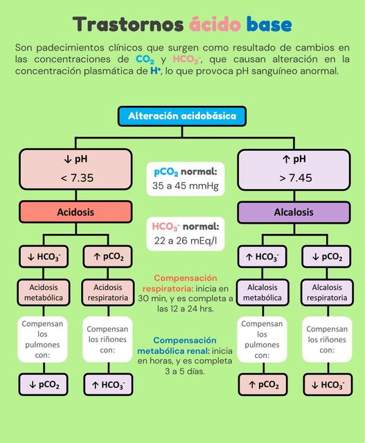 Trastornos ácido base | Javier Rios | uDocz