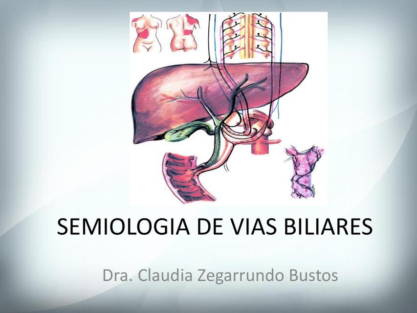 Semiología de vías biliares | NBES | uDocz