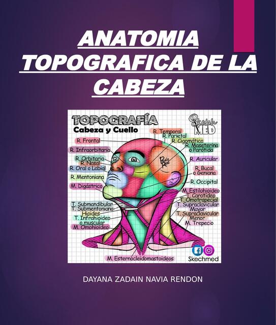 Anatomia topografica de la cabeza | Dayana Zadain Rendon | uDocz