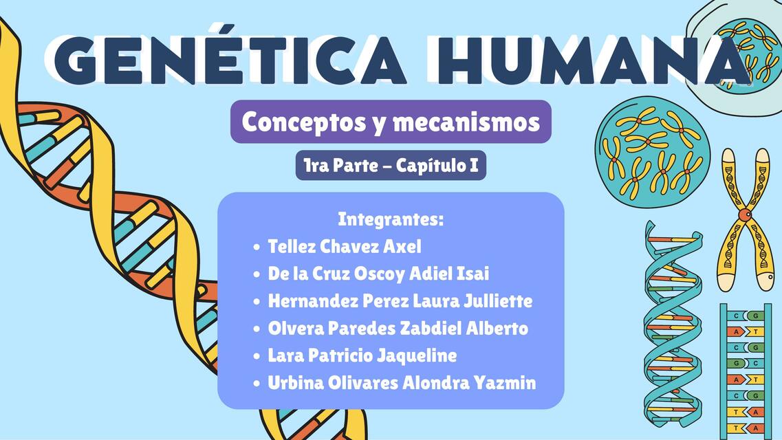 Genética Humana - conceptos básicos | Alondra Urbina | uDocz