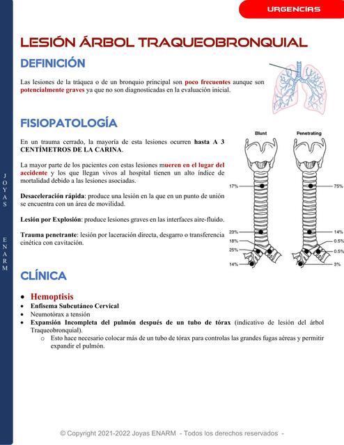 Lesión del Árbol Traqueobronquial | edgar chuchon conde | uDocz