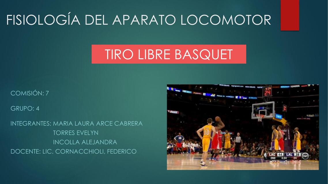 Fisiología del aparato locomotor | Chiara Maraschi | uDocz