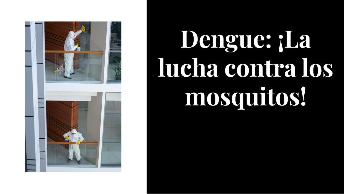 Dengue la lucha contra los mosquitos | Medicina General 1 | uDocz Dengue la lucha contra los mosquitos | Medicina General 1 | uDocz