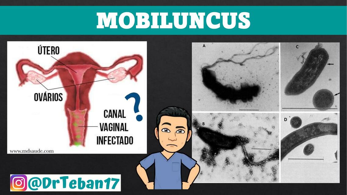 MOBILUNCUS | DrTeban17 | uDocz