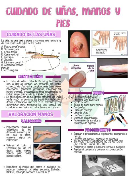 Cuidado de Uñas, Manos y Pies | Antonella Rivadeneyra Ramirez | uDocz