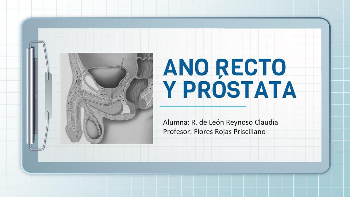 Ano, Recto y Próstata | CLAUDIA R. DE LEON REYNOSO | uDocz