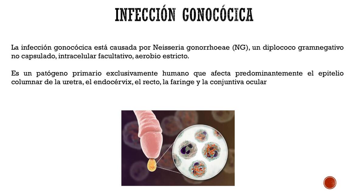 Infección gonocócica | Alejo Ortega | uDocz
