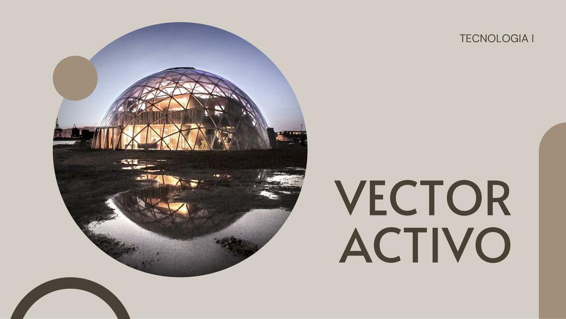 Vector Activo | NICOLE KAREN MATOS CUEVA | uDocz