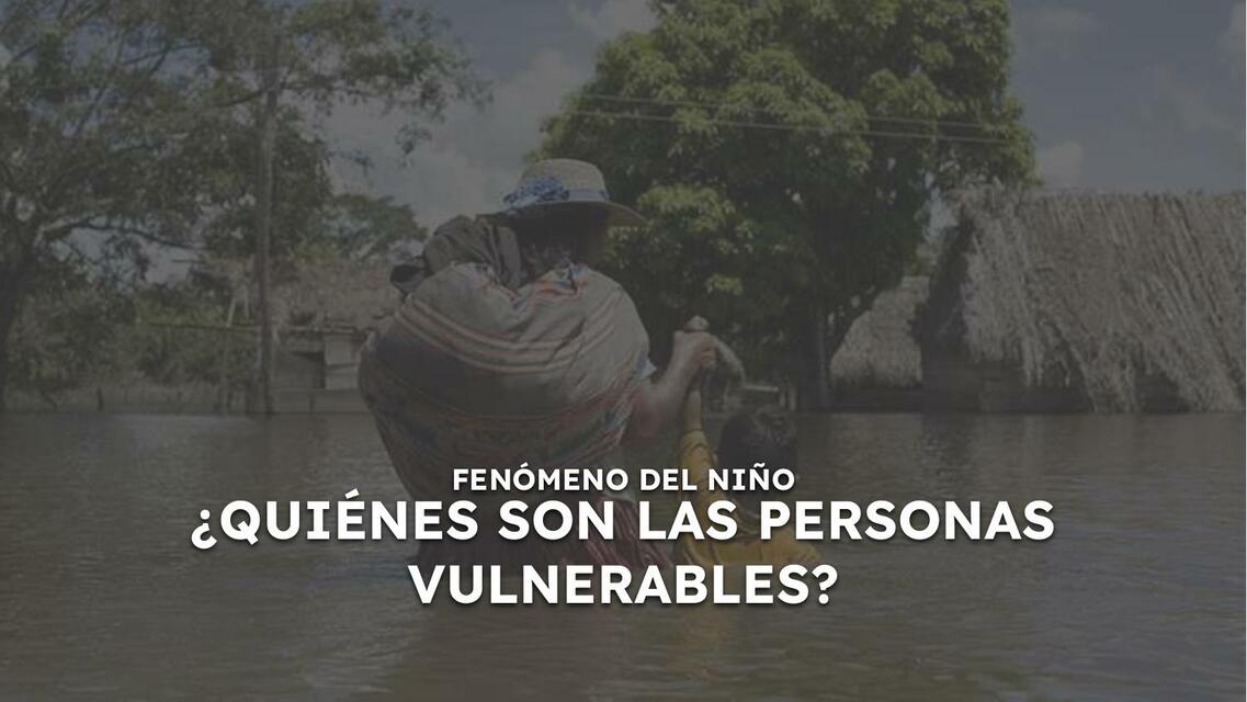¿Quiénes son las Personas Vulnerables? | Daniela Diaz Cieza | uDocz