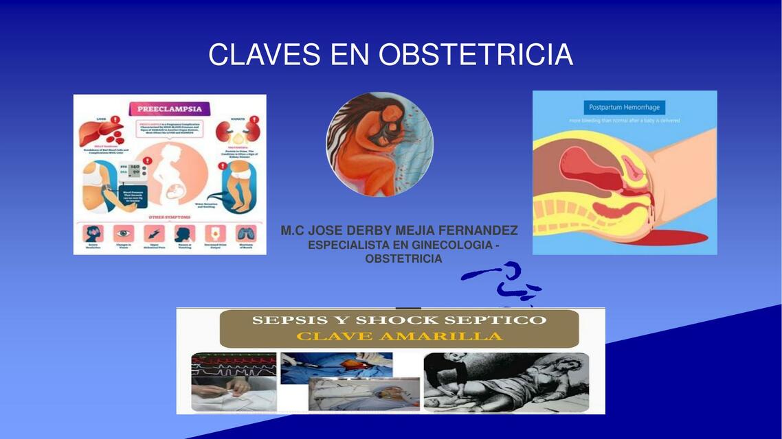 Claves en Obstetricia | lesly | uDocz