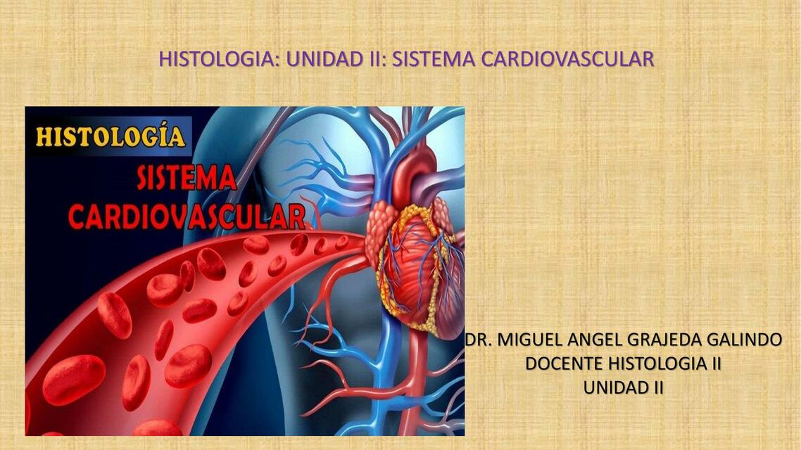 Sistema Cardiovascular | Shandel Vela | uDocz