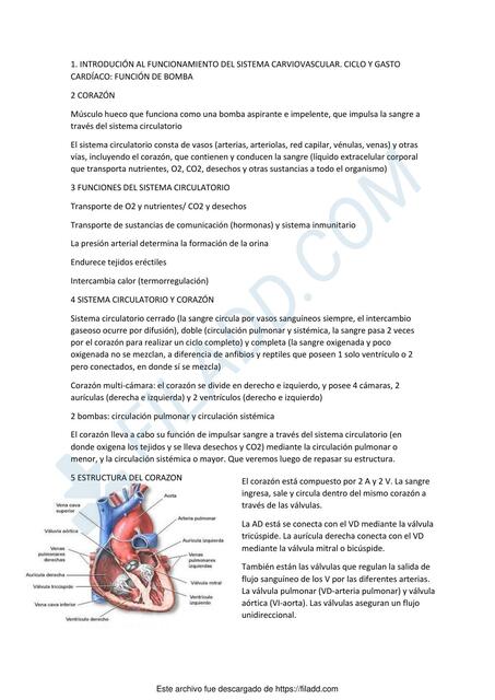 Sistema cardiovascular | cesar meza | uDocz