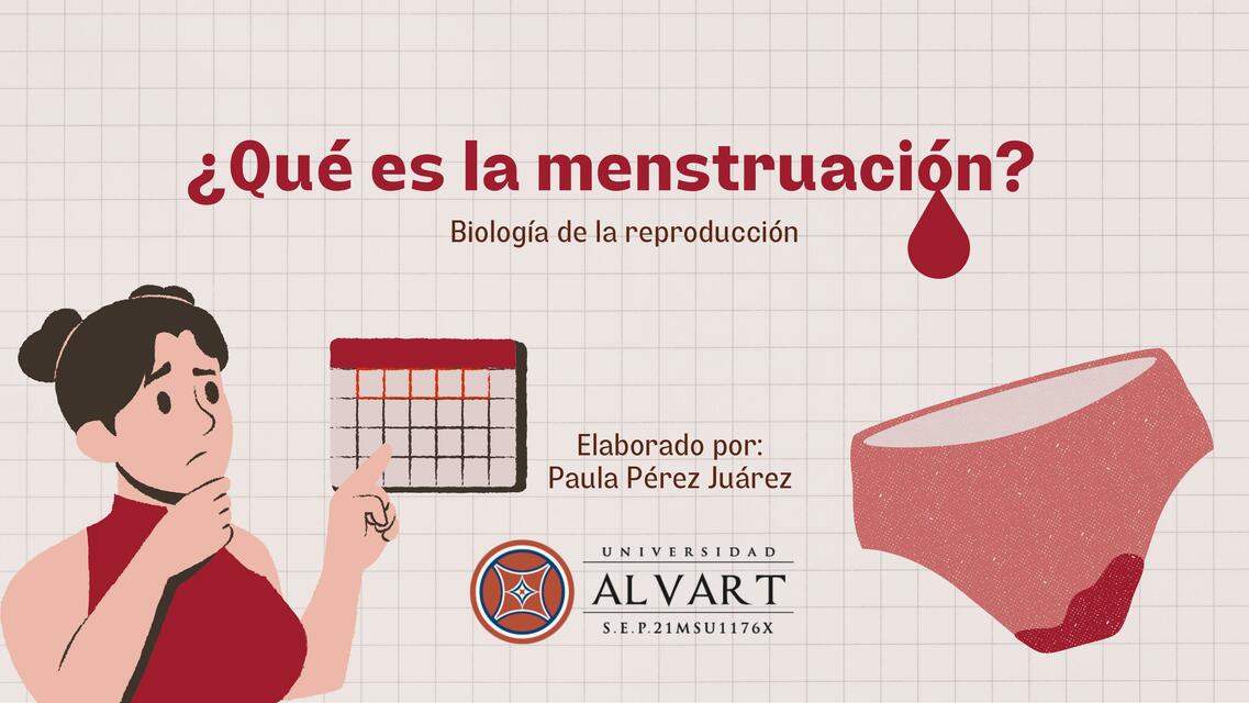 Qué es la Menstruación? | Pau | uDocz