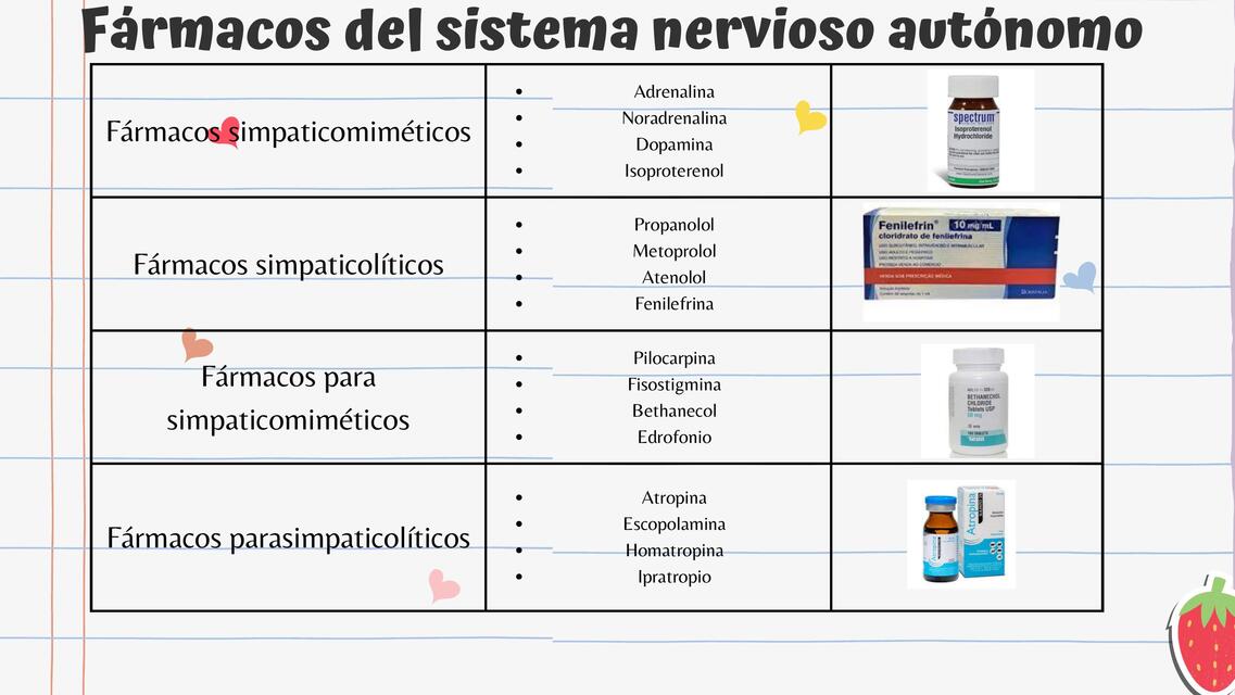 Farmacología del sistema nervioso autónomo | Katerin Condori | uDocz