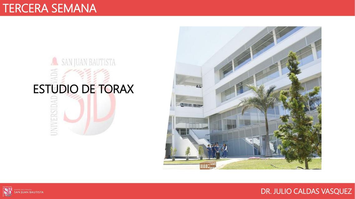 Estudio de Tórax | Benjamin Zuazo | uDocz