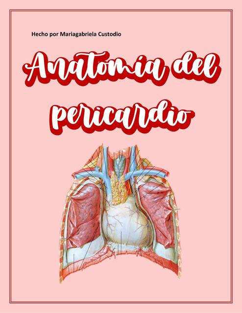 Anatomía del Pericardio | Mariagabriela Custodio | uDocz