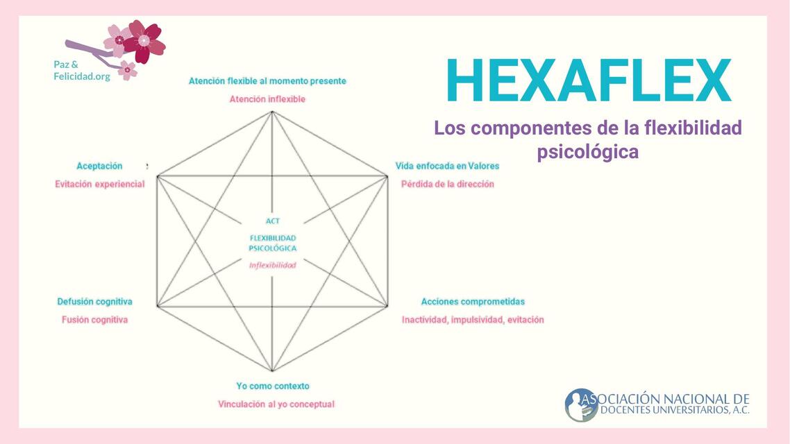 Hexaflex componentes flexibilidad psicologica | Gustavo Monterrosas Gil ...