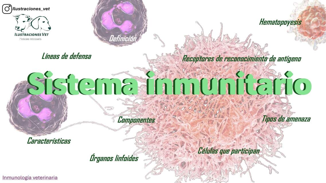 Sistema inmunitario (Líneas de defensa, hematopoyesis, características ...