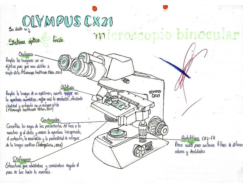 Partes Del Microscopio