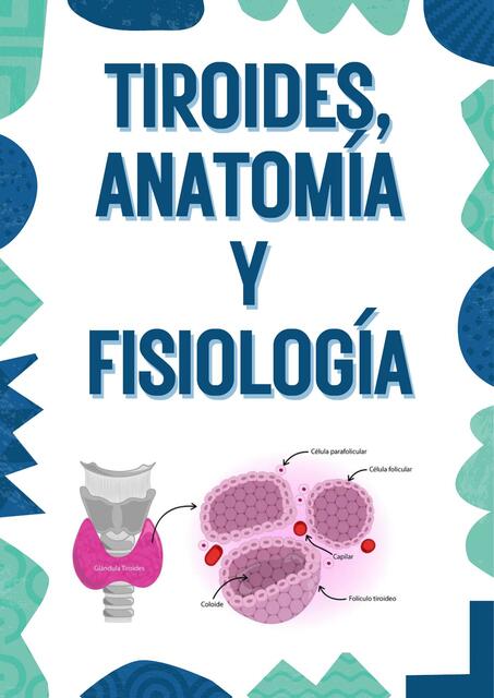 TIROIDES ANATOMÍA Y FISIOLOGÍA | Luis Esquivel Peña | uDocz