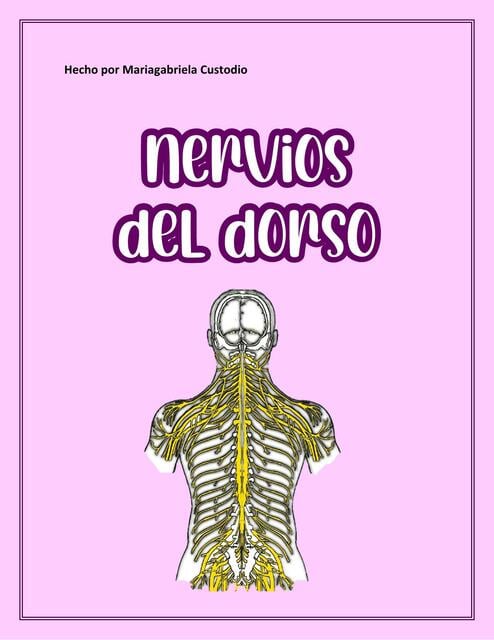 Nervios del dorso | Mariagabriela Custodio | uDocz