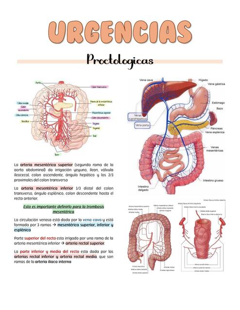 Urgencias proctologicas | Camila Dominguez | uDocz
