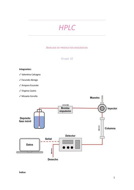 Cromatografía líquida (HPLC) | Virginia Castro | uDocz